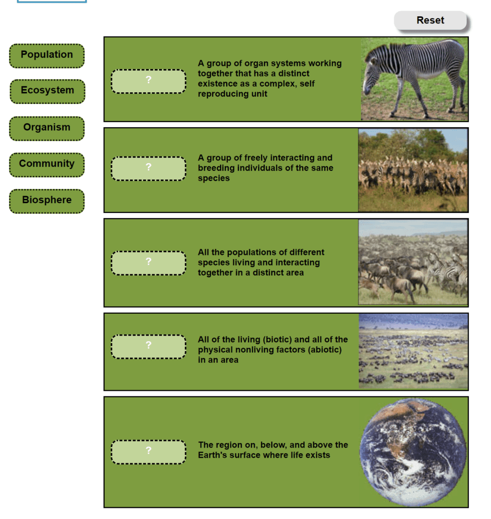 ABIOTIC AND BIOTIC FACTORS LESSON PLAN – A COMPLETE SCIENCE LESSON ...