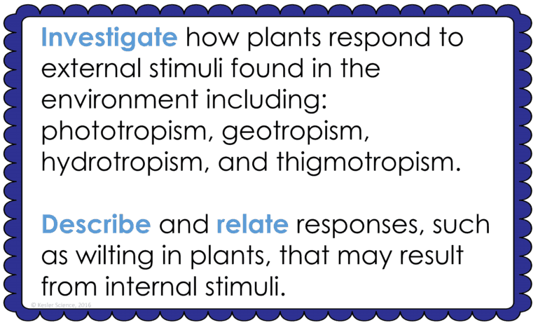 Tropisms and Turgor Pressure Lesson Plan - A Complete Science Lesson ...