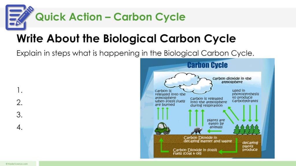 CARBON CYCLE LESSON PLAN – A COMPLETE SCIENCE LESSON USING THE 5E ...