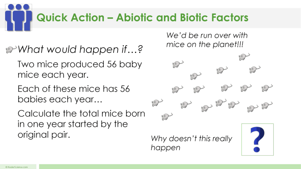 ABIOTIC AND BIOTIC FACTORS LESSON PLAN – A COMPLETE SCIENCE LESSON ...