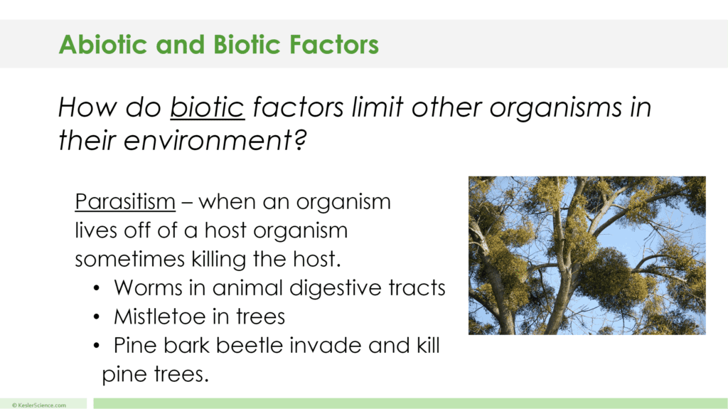 ABIOTIC AND BIOTIC FACTORS LESSON PLAN – A COMPLETE SCIENCE LESSON USING THE 5E METHOD OF ...