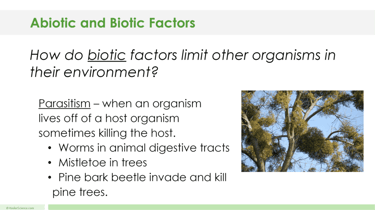 ABIOTIC AND BIOTIC FACTORS LESSON PLAN – A COMPLETE SCIENCE LESSON ...