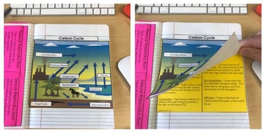 CARBON CYCLE LESSON PLAN – A COMPLETE SCIENCE LESSON USING THE 5E ...