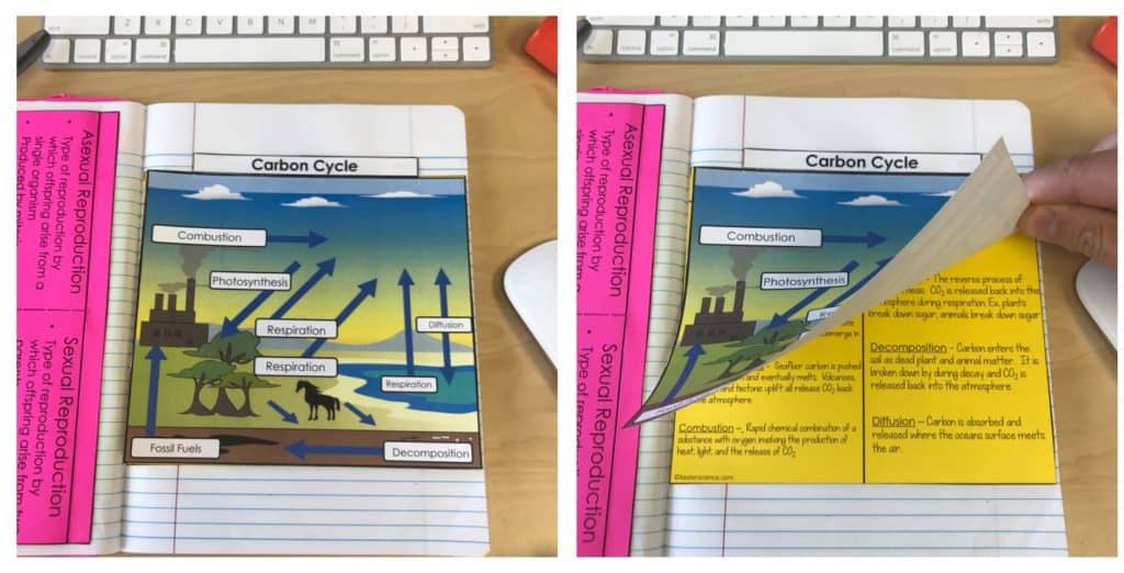 CARBON CYCLE LESSON PLAN – A COMPLETE SCIENCE LESSON USING THE 5E ...