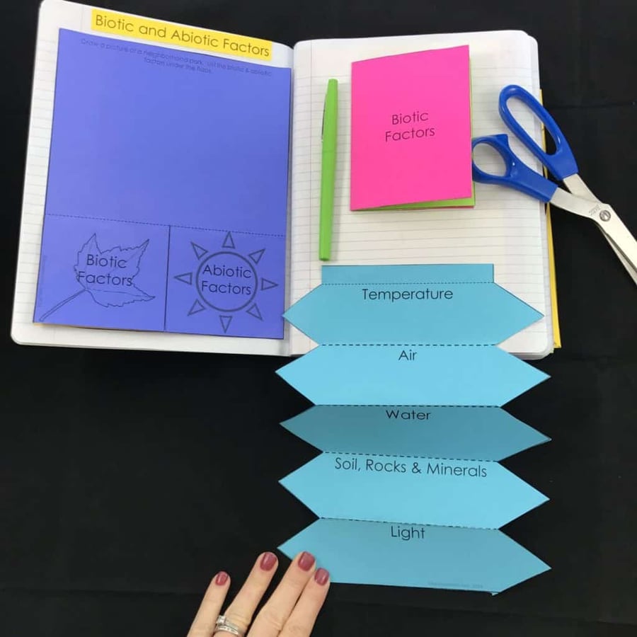 ABIOTIC AND BIOTIC FACTORS LESSON PLAN – A COMPLETE SCIENCE LESSON USING THE 5E METHOD OF ...