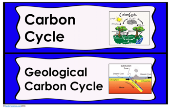 CARBON CYCLE LESSON PLAN – A COMPLETE SCIENCE LESSON USING THE 5E ...