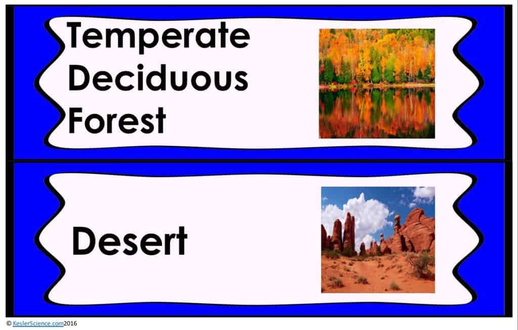 BIOMES LESSON PLAN – A COMPLETE SCIENCE LESSON USING THE 5E METHOD OF ...