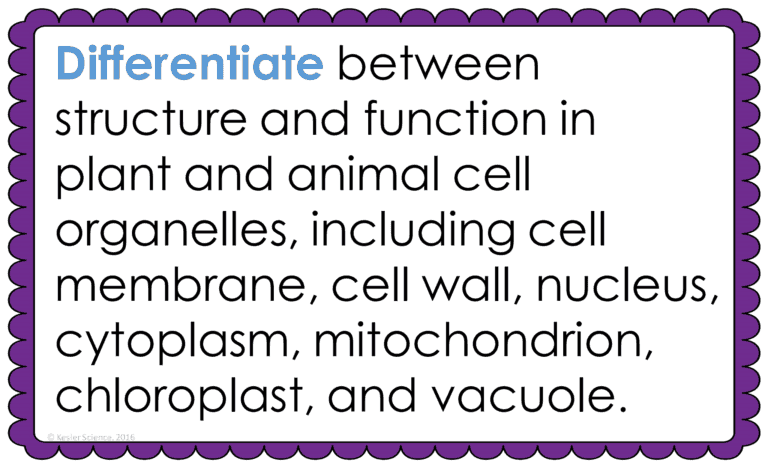 Plant and Animal Cells Lesson Plan - A Complete Science Lesson Using ...