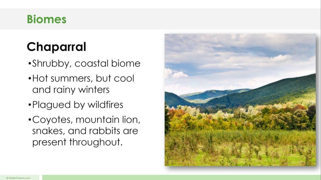 BIOMES LESSON PLAN – A COMPLETE SCIENCE LESSON USING THE 5E METHOD OF ...