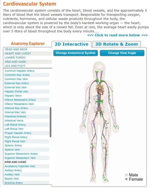 Circulatory System Lesson Plan – A Complete 5E Method Science Unit