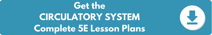 Circulatory System Lesson Plan – A Complete 5E Method Science Unit