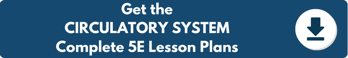 Circulatory System Lesson Plan – A Complete 5E Method Science Unit