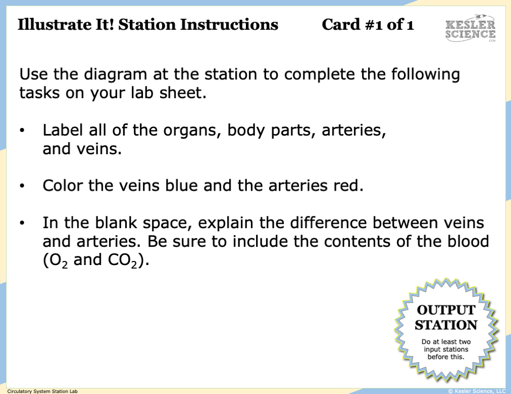 Circulatory System Lesson Plan – A Complete 5E Method Science Unit