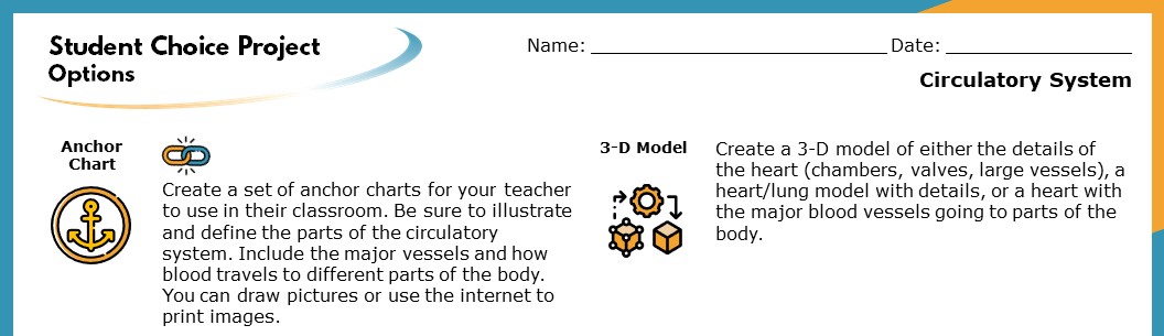 Circulatory System Lesson Plan – A Complete 5E Method Science Unit
