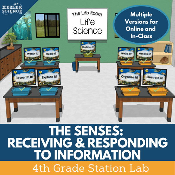 NGSS - Animal Senses Activities for 4th Grade Science