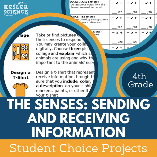 NGSS - Animal Senses Activities for 4th Grade Science