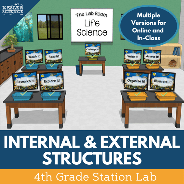 NGSS - Internal & External Structures Activities for 4th Grade Science