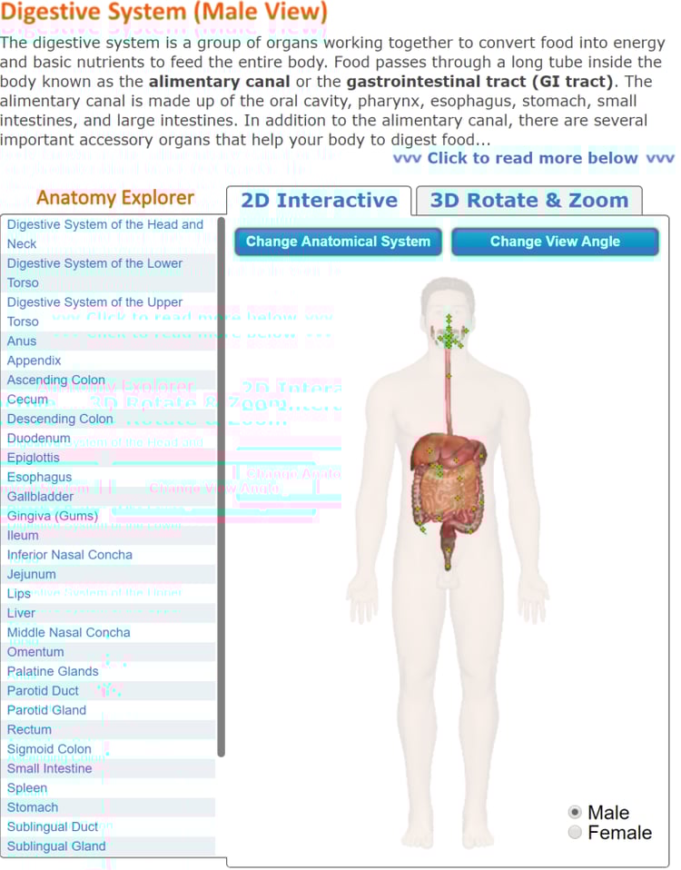 Digestive System Lesson Plan – A Complete 5E Method Science Unit