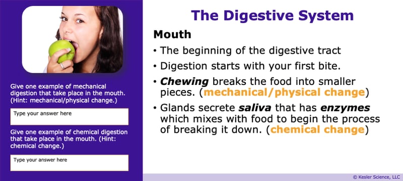 Digestive System Lesson Plan – A Complete 5E Method Science Unit