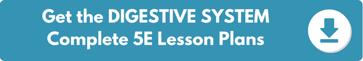 Digestive System Lesson Plan – A Complete 5E Method Science Unit
