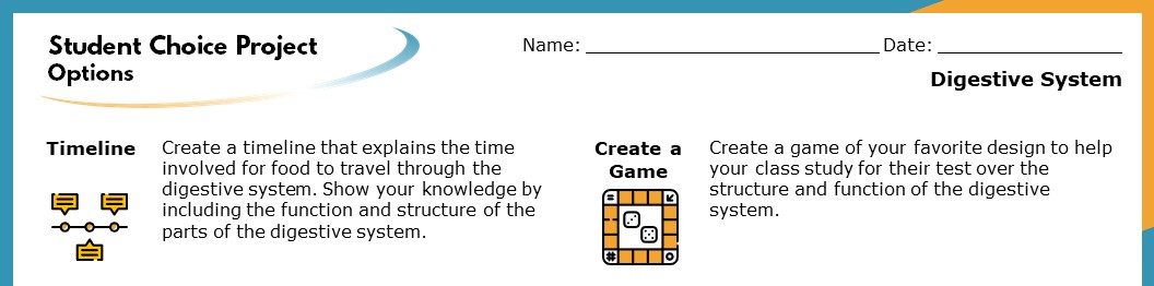 Digestive System Lesson Plan – A Complete 5E Method Science Unit
