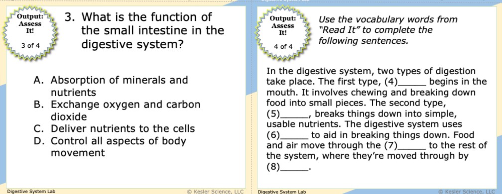 Digestive System Lesson Plan – A Complete 5E Method Science Unit