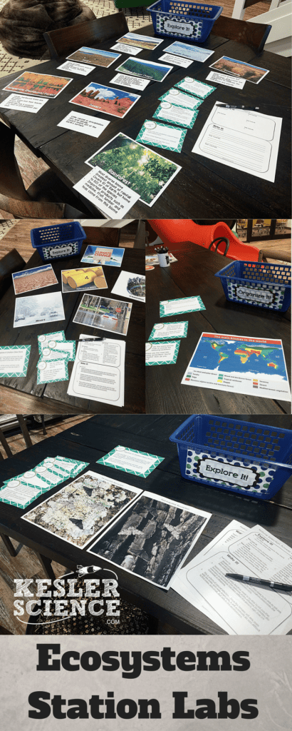 Ecosystems Station Labs for Student-Centered Learning