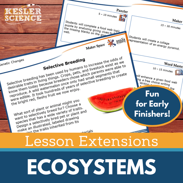 TEKS 6.12C Hierarchy of Ecosystems Activities Middle School Science