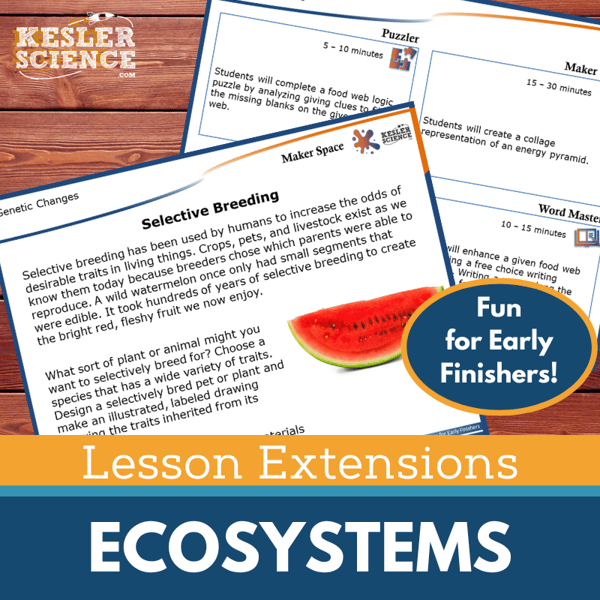 TEKS 8.12A Disruptions in Ecosystems Activities, Middle School Science