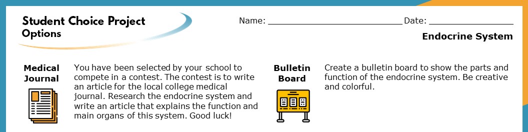 Endocrine System Lesson Plan – A Complete 5E Method Science Unit