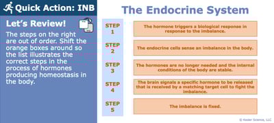 Endocrine System Lesson Plan – A Complete 5E Method Science Unit