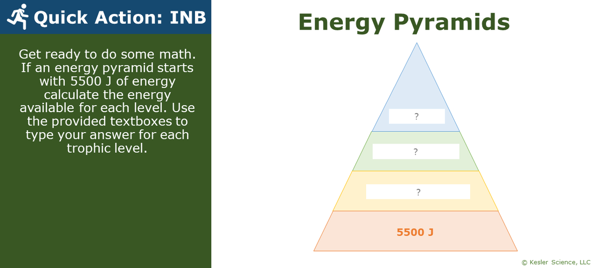 Energy Pyramids Lesson Plan – A Complete 5E Method Science Unit