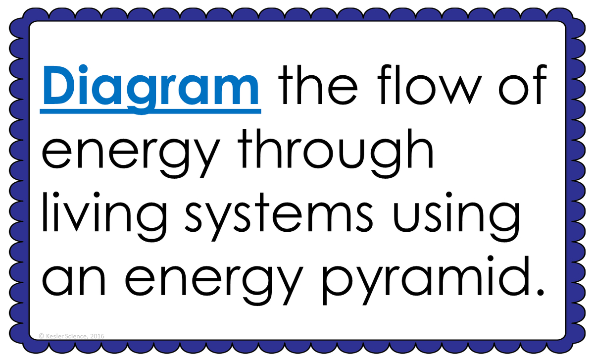 Energy Pyramids Lesson Plan – A Complete 5E Method Science Unit