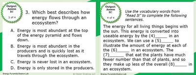 Energy Pyramids Lesson Plan – A Complete 5E Method Science Unit
