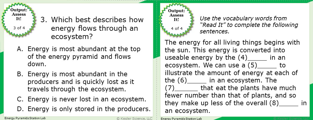 Energy Pyramids Lesson Plan – A Complete 5E Method Science Unit