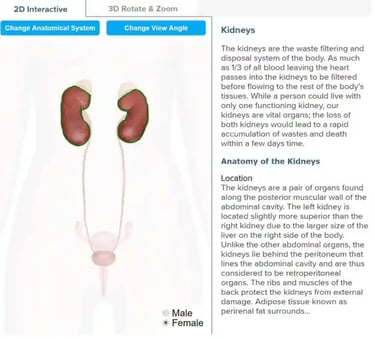 Excretory System Lesson Plan – A Complete 5E Method Science Unit