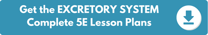 Excretory System Lesson Plan – A Complete 5E Method Science Unit