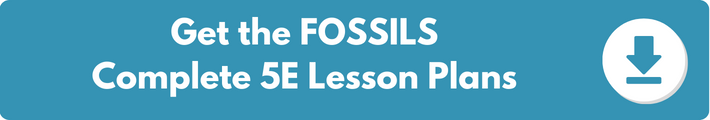 Fossils Lesson Plan – A Complete 5E Method Science Unit