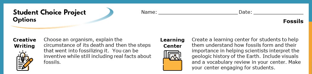 Fossils Lesson Plan – A Complete 5E Method Science Unit