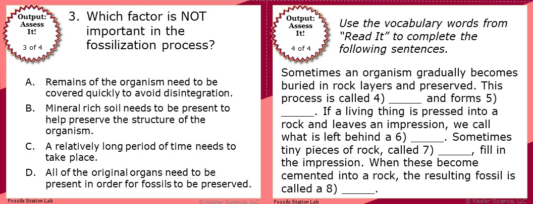 Fossils Lesson Plan – A Complete 5E Method Science Unit
