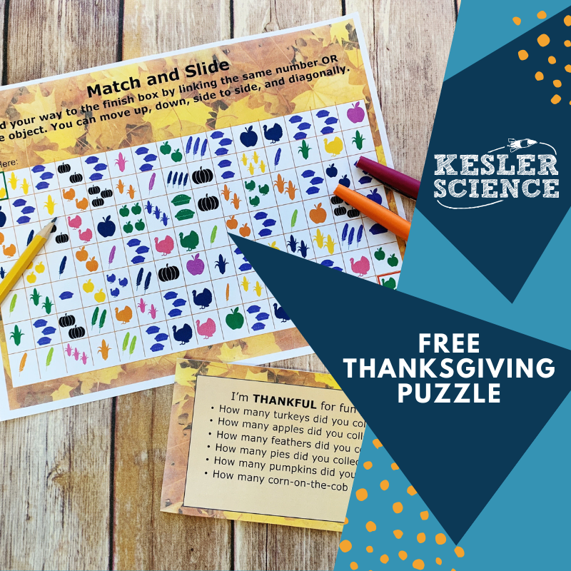 Free Thanksgiving Logic Puzzle 2025