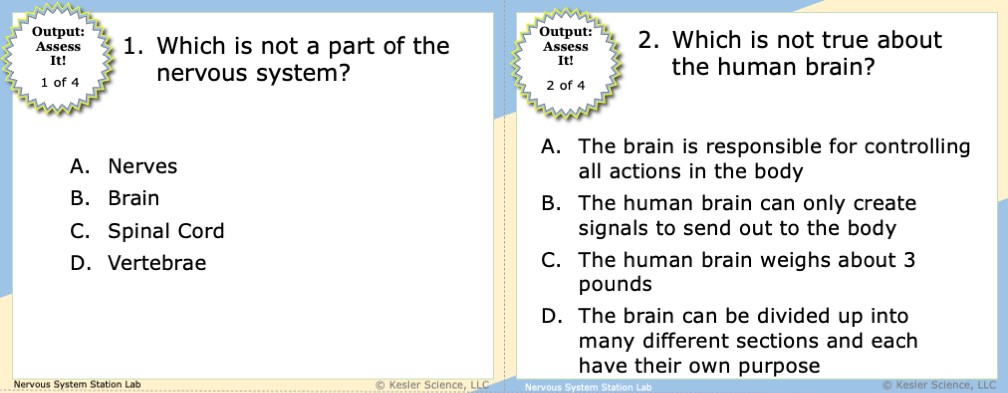 Nervous System Lesson Plan – A Complete 5E Method Science Unit
