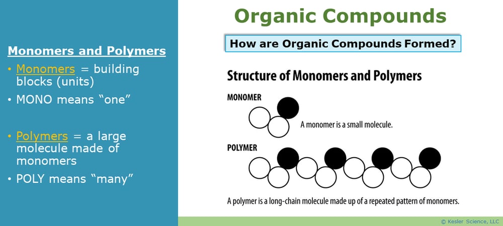 Organic Compounds Lesson Plan – A Complete 5E Method Science Unit