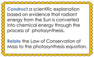 Photosynthesis Lesson Plan – A Complete 5E Method Science Unit