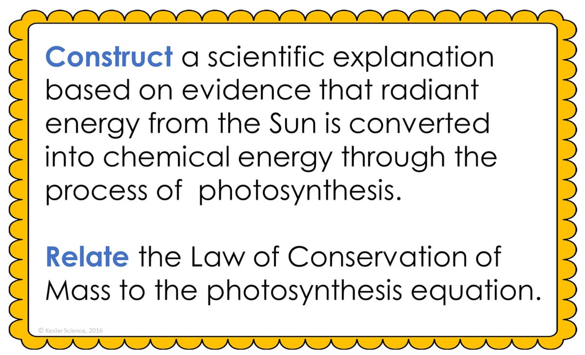 Photosynthesis Lesson Plan – A Complete 5E Method Science Unit