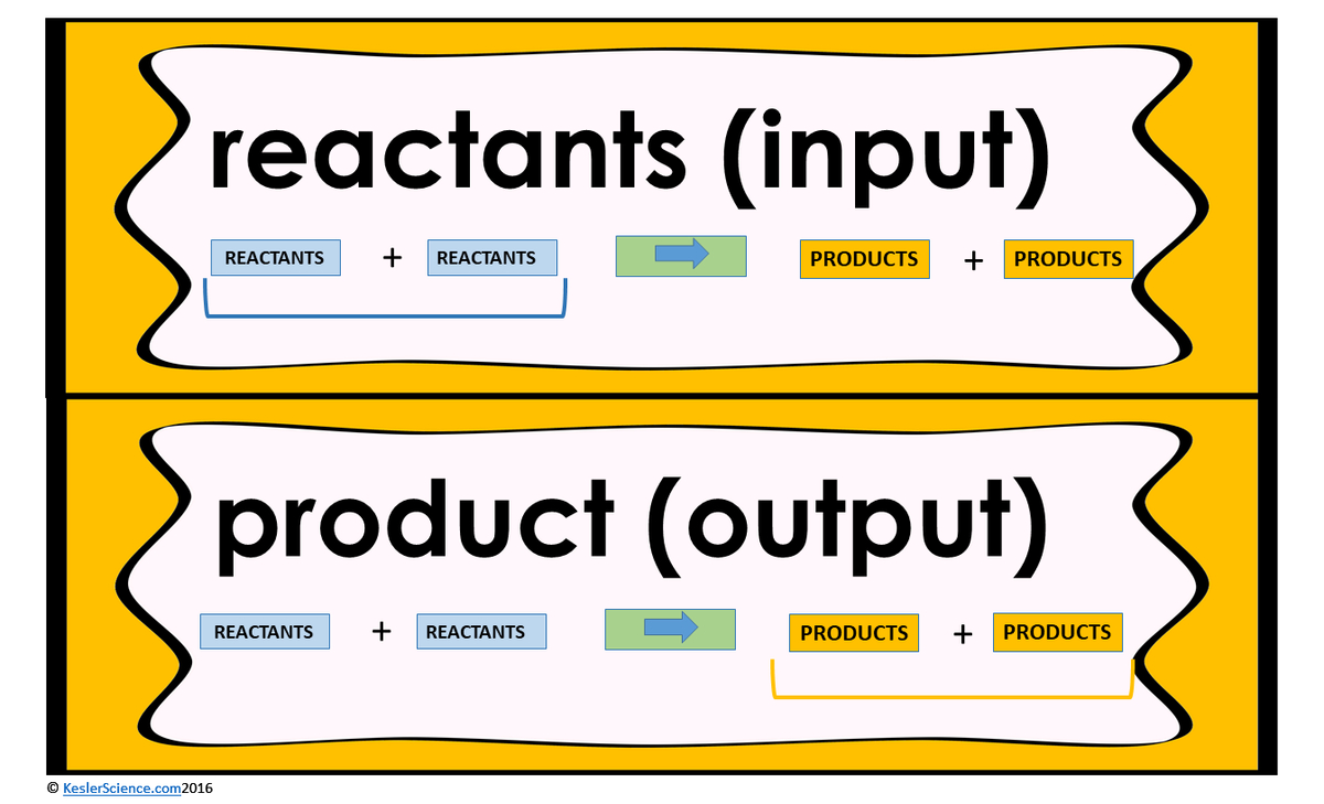 Photosynthesis Lesson Plan – A Complete 5E Method Science Unit