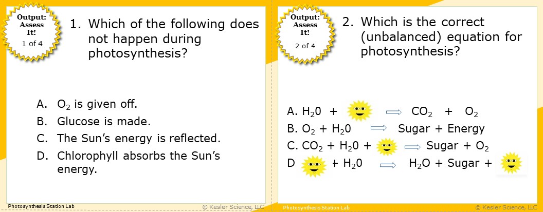 Photosynthesis Lesson Plan – A Complete 5E Method Science Unit