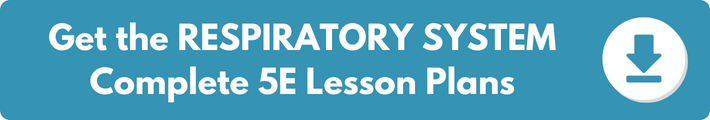 Respiratory System Lesson Plan - A Complete 5E Method Science Unit