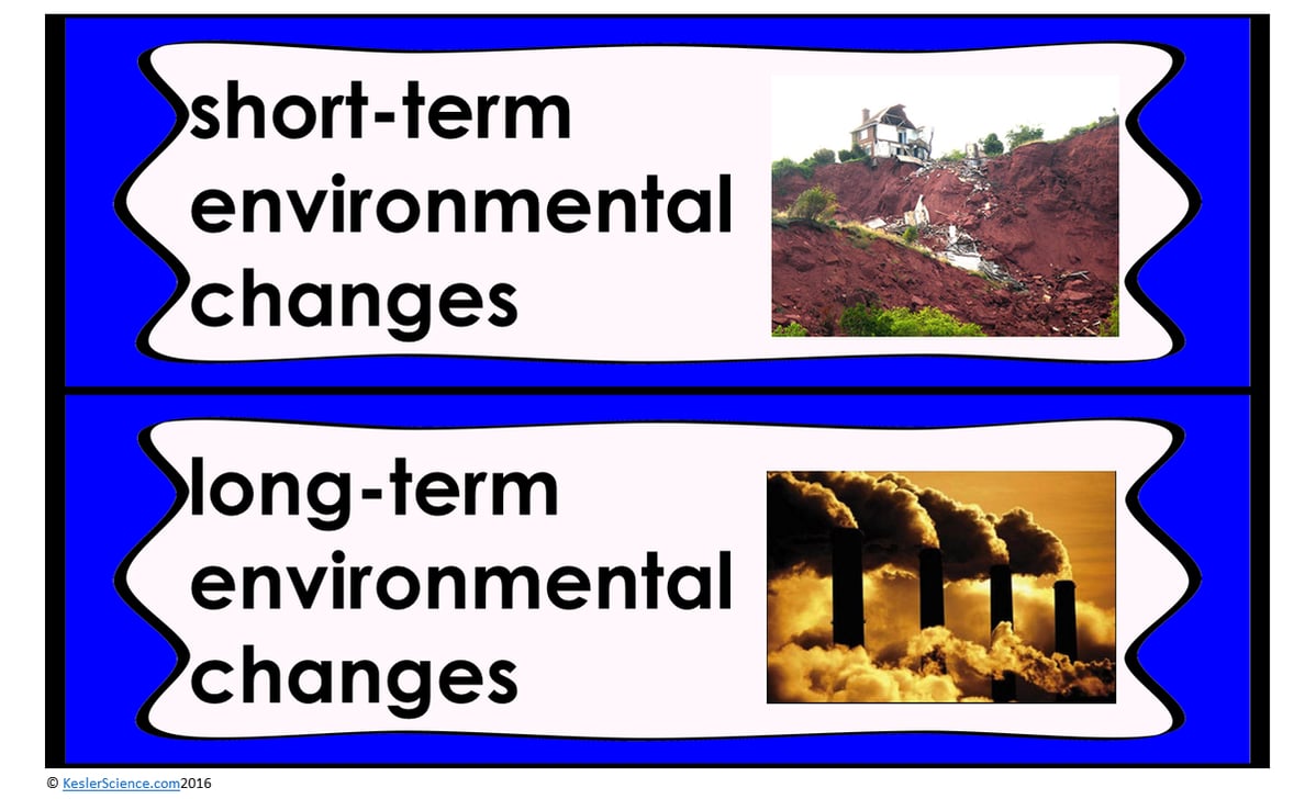 ShortLongTermEnvironmentalImpactLessonPlan–Complete5EMethodScienceUnit