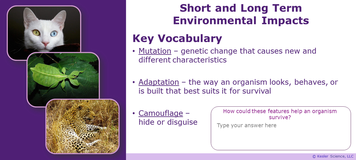 ShortLongTermEnvironmentalImpactLessonPlan–Complete5EMethodScienceUnit